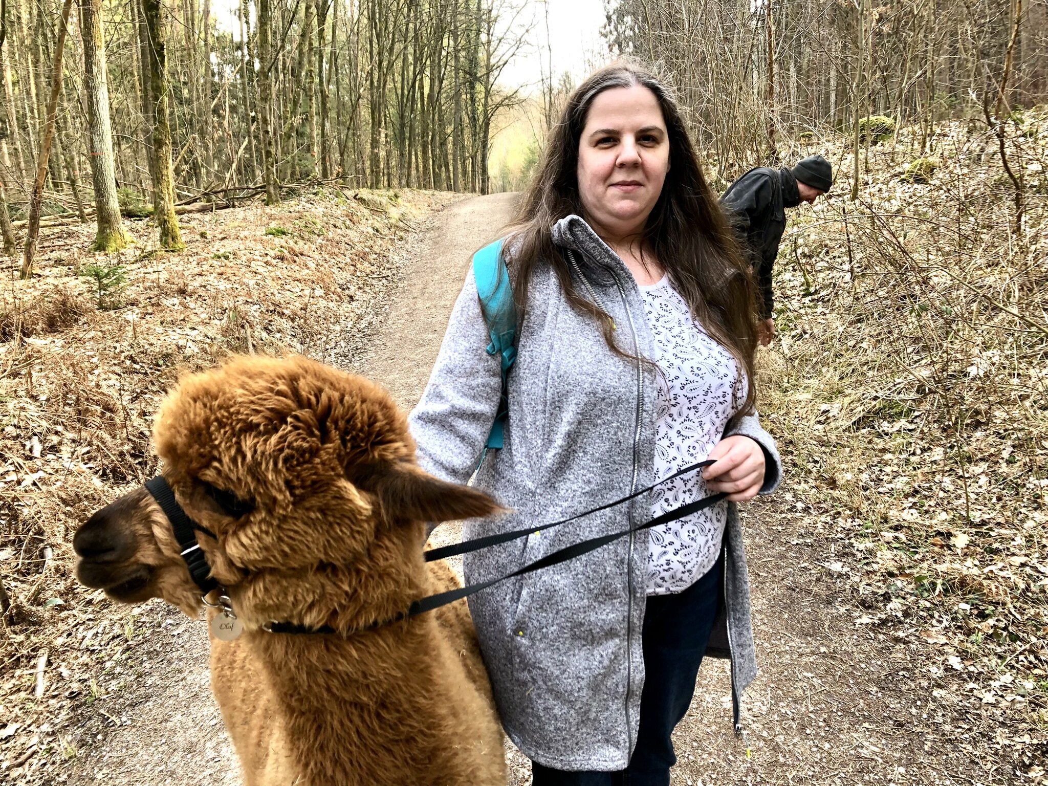 Alpaka Wanderung in Kalchreuth